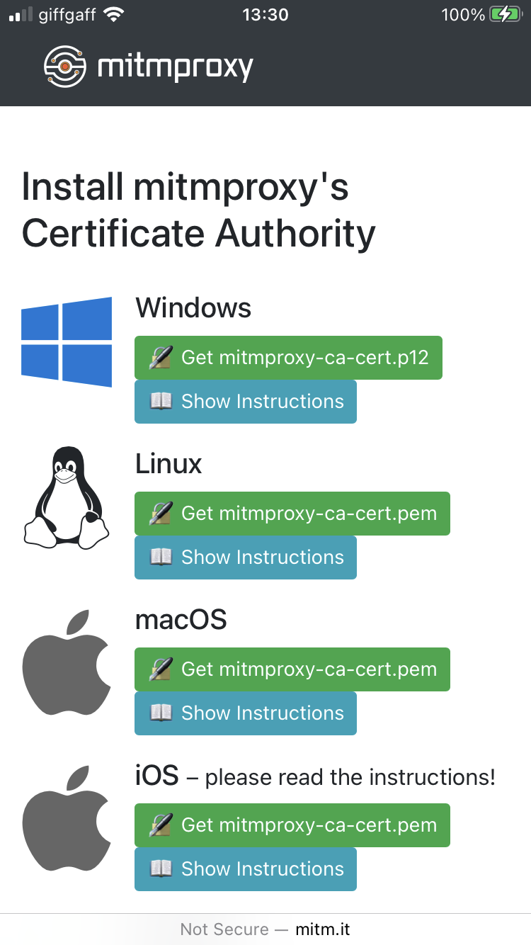 Running a man-in-the-middle proxy on a Raspberry Pi 4
