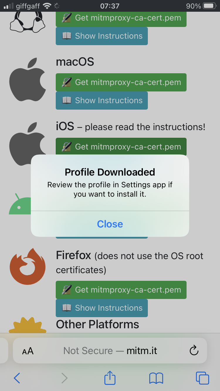 Running a man-in-the-middle proxy on a Raspberry Pi 4